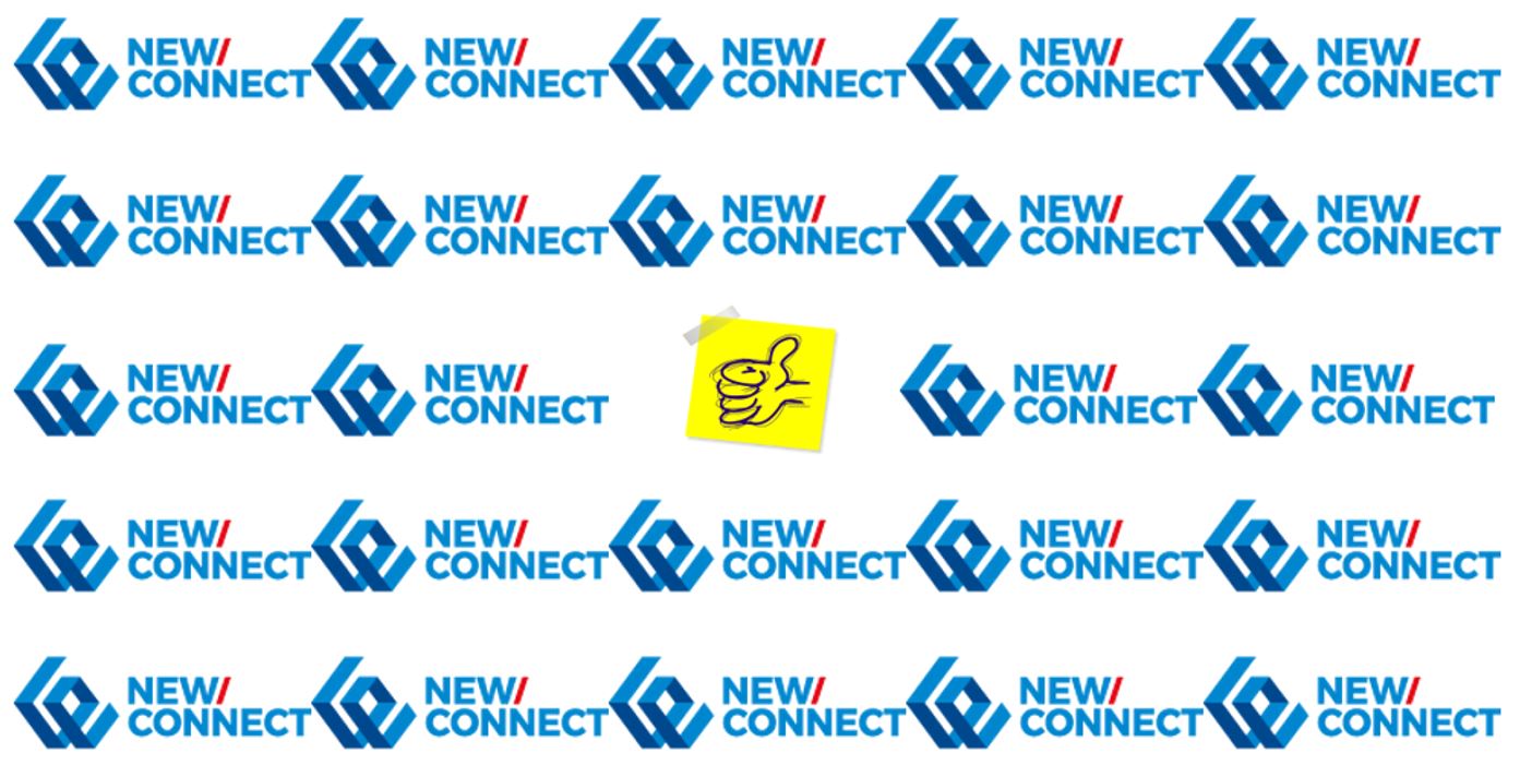 Raport rynku New Connect 2021 - Portal Analiz